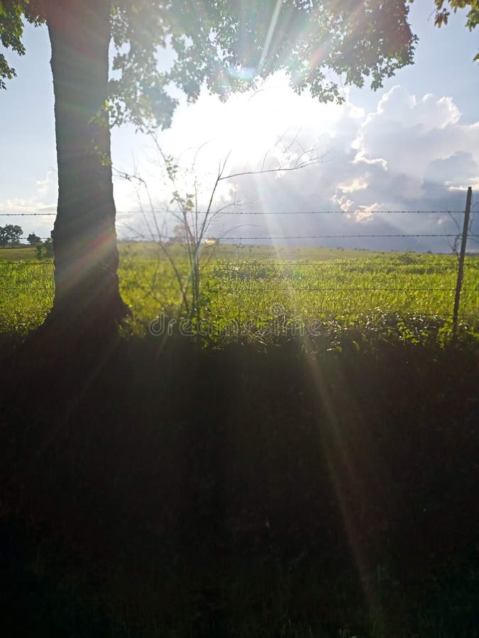 Back road sunset stock image. Image of leaf, reflection - 232750195