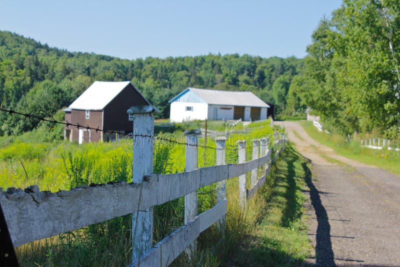 Back Roads stock image. Image of pasture, barn, fall - 24129647