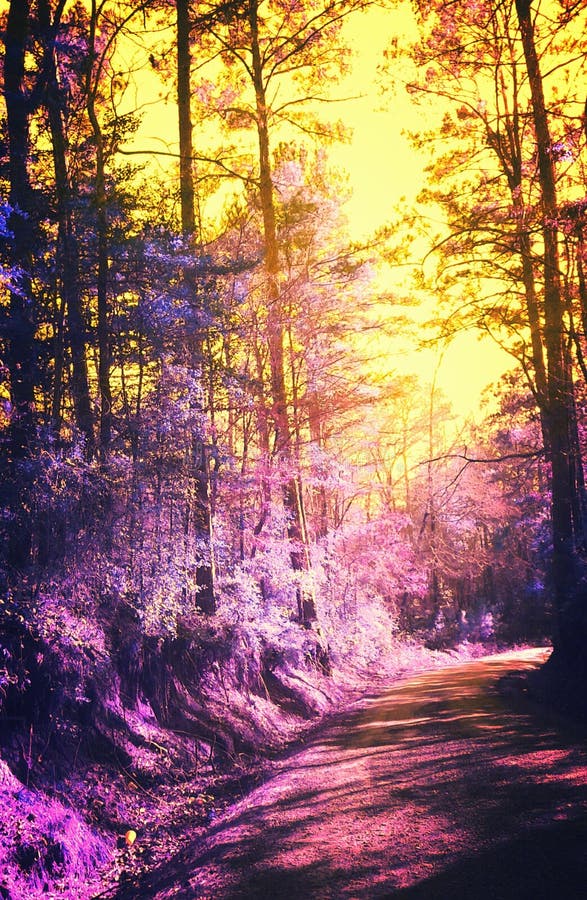 Back roads Indiana stock image. Image of back, roads - 121371983