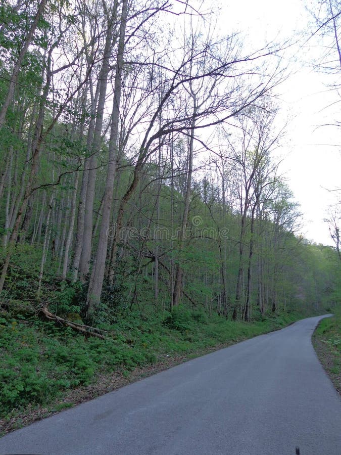 Spring in kentucky stock image. Image of roads, green - 110007173