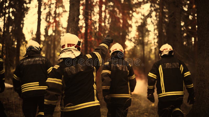 Back Shot of a Group of Firefighters Investigating a Fire Source Deep ...