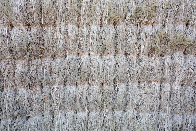 Back Side of Brown Bamboo Straw Stock Image - Image of traditional ...