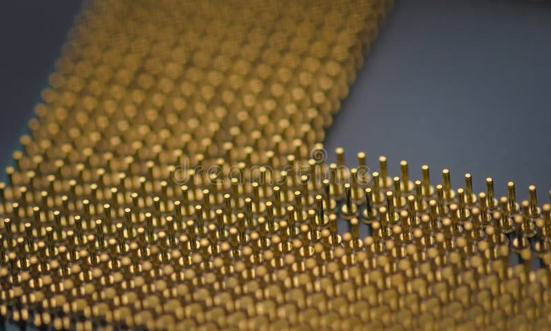 Back Side of a Computer Processor, Showing the Golden Pin Layout ...