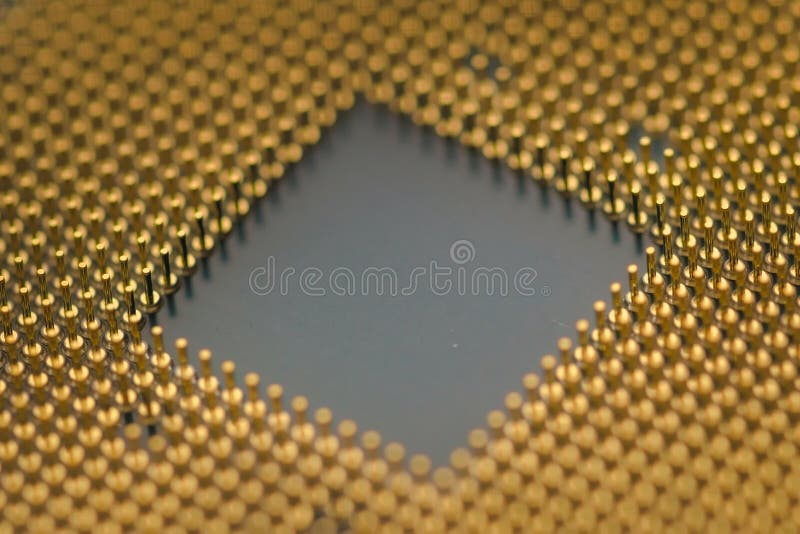 Back Side of a Computer Processor, Showing the Golden Pin Layout ...