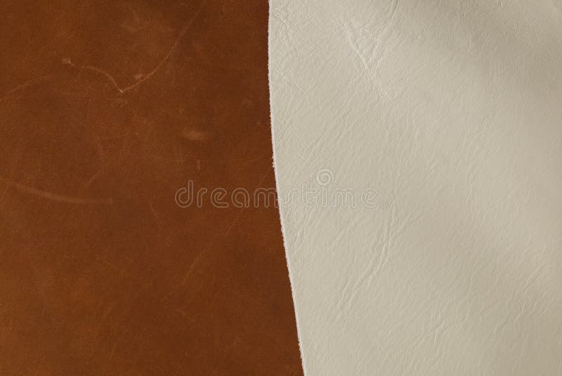 Back Side of a Genuine Leather Texture Background . Stock Photo - Image ...