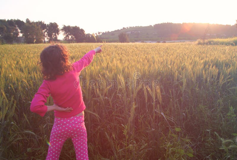 Back Side of Happy Kid Looking at the Sunset in Wheat Field , Explore ...