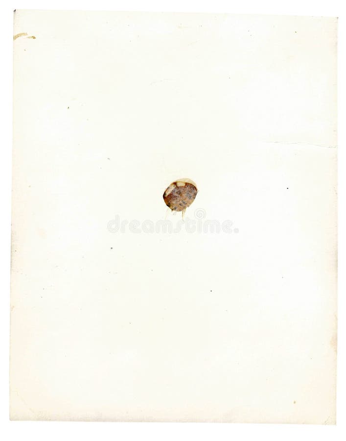 Back Side of Old Paper Photograph Stock Image - Image of parchment ...