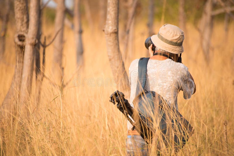 Back Side of Photographer Man in Grey Grass Field with Camera on Hand ...