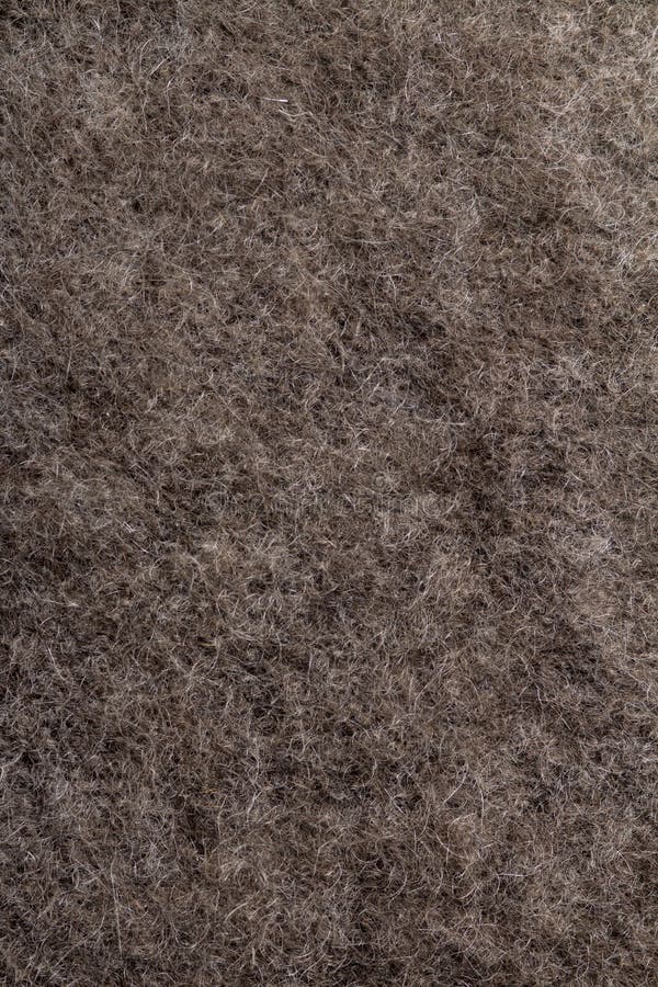 Back Side of the Skin, Texture of Wool Stock Photo - Image of cotton ...