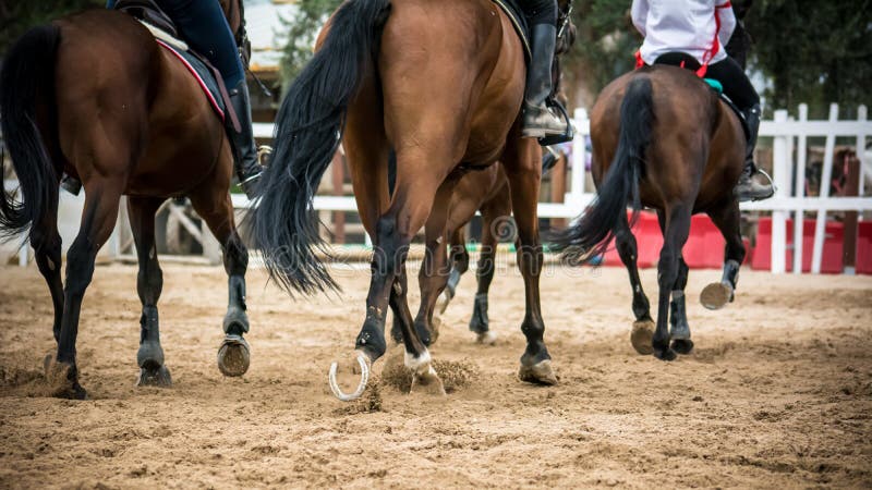 Back Side View of a Group of Riders Stock Photo - Image of active ...