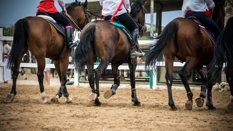 Back Side View of a Group of Riders Stock Photo - Image of brown ...