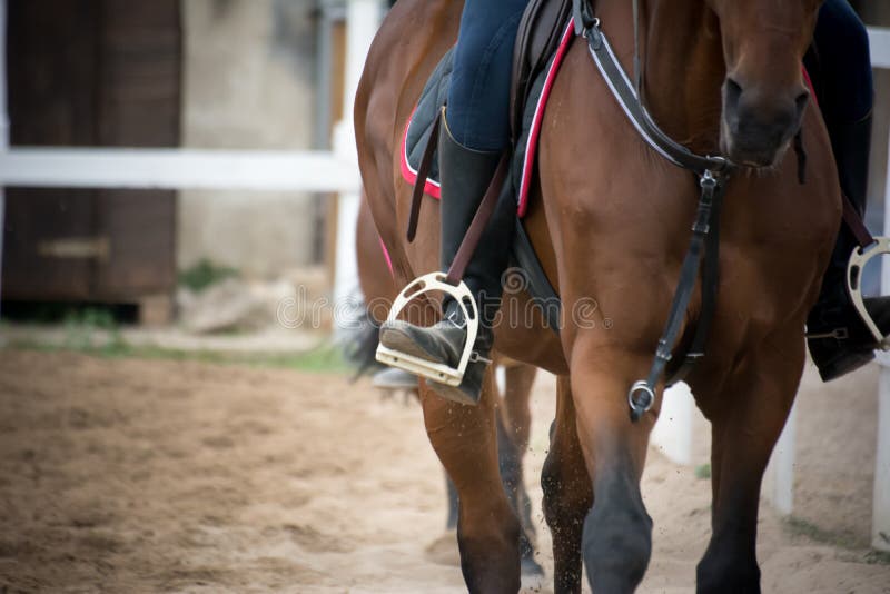 Back Side View of a Group of Riders Stock Photo - Image of active ...