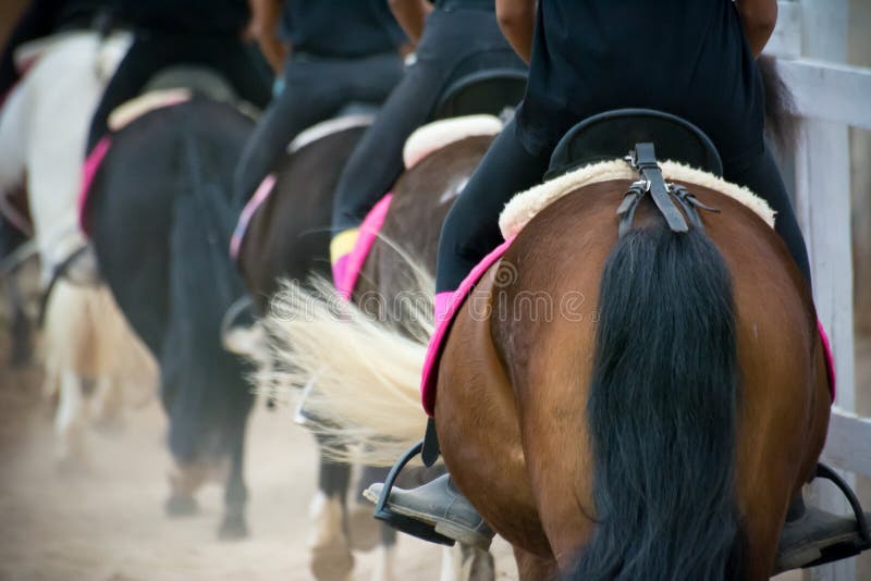 Back Side View of a Group of Riders Stock Photo - Image of competition ...