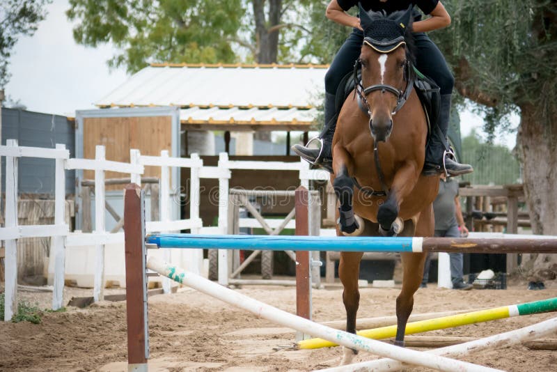 Back Side View of a Group of Riders Stock Image - Image of competition ...