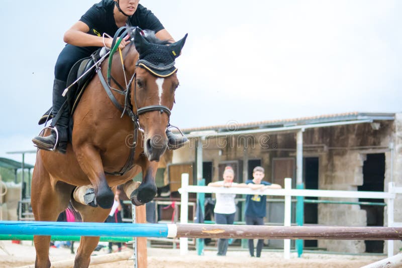 Back Side View of a Group of Riders Editorial Image - Image of dressage ...