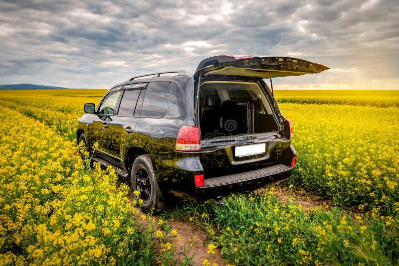 Back Side View of Off Road Car with Opened Trunk in Blooming Field ...