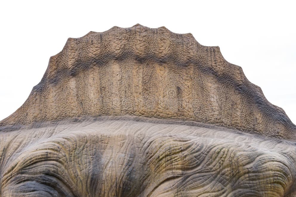 Back of a Spinosaurus stock photo. Image of monster - 114978944