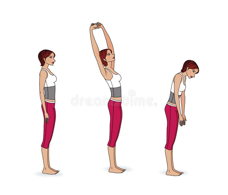 Back Stretch Exercise. Realistic Image Stock Illustration ...