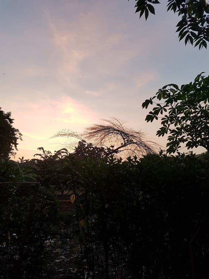 Back of the sun stock photo. Image of afternoon, sunset - 154958920