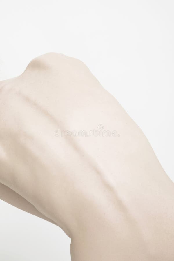 Back of thin woman stock image. Image of figure, curvature - 13602217
