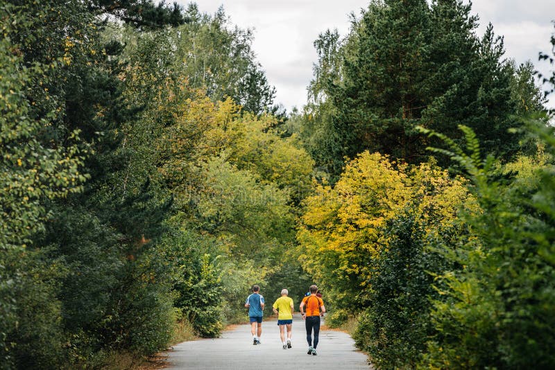 Back Three Runners Running in Autumn Forest Editorial Image - Image of ...