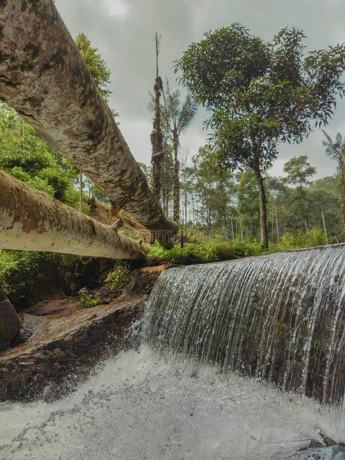 Back to nature stock photo. Image of nature, back, water - 222015410