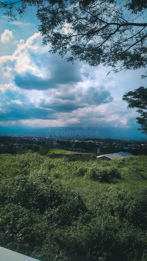 Bblue sky stock photo. Image of hill, tree, back, landscape - 222052212