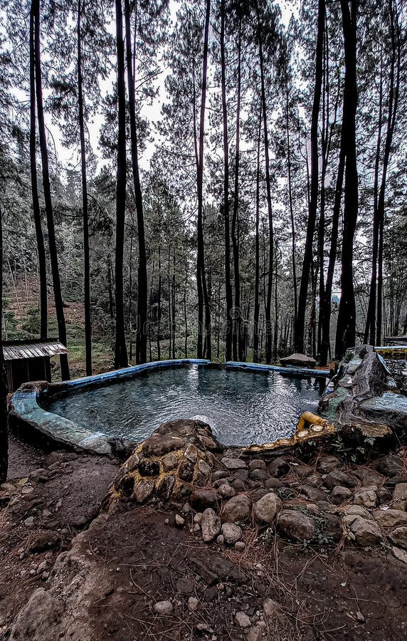 Back To Nature for Life Be Happy and Enjoy Stock Photo - Image of happy ...