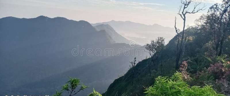 Back to nature for life stock photo. Image of nature - 222502040