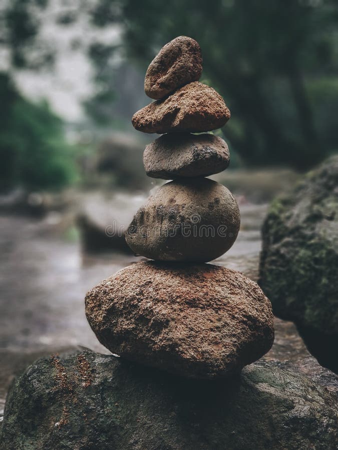 Back to nature with rocks stock image. Image of branch - 218970727