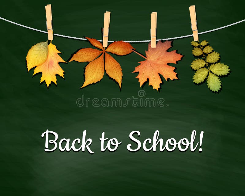 Back To School Background with Blackboard and Autumn Leaves Stock ...