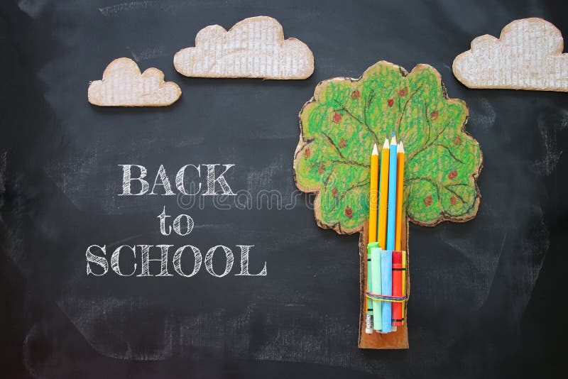 Back To School Concept. Top View Image Tree of Knowledge and Pencils ...