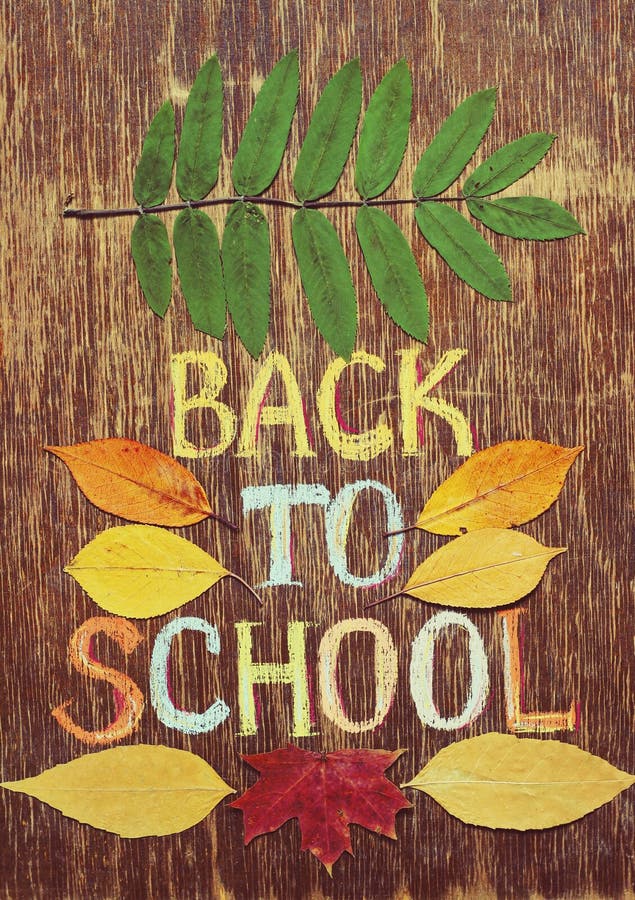 Back to school stock photo. Image of autumn, literature - 58047010