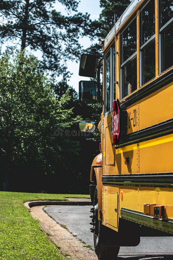 Back to School stock photo. Image of back, side, view - 122321364