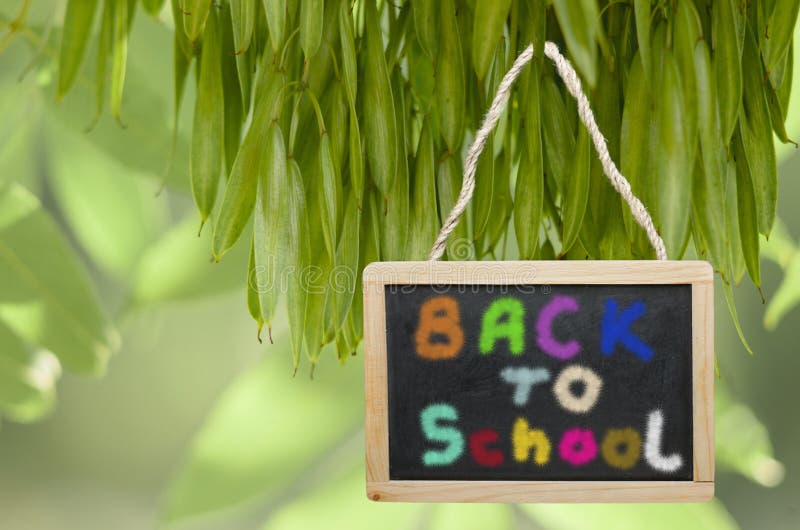 Back To School- Written on Black Chalk Board Hanging from a Tree. Stock ...