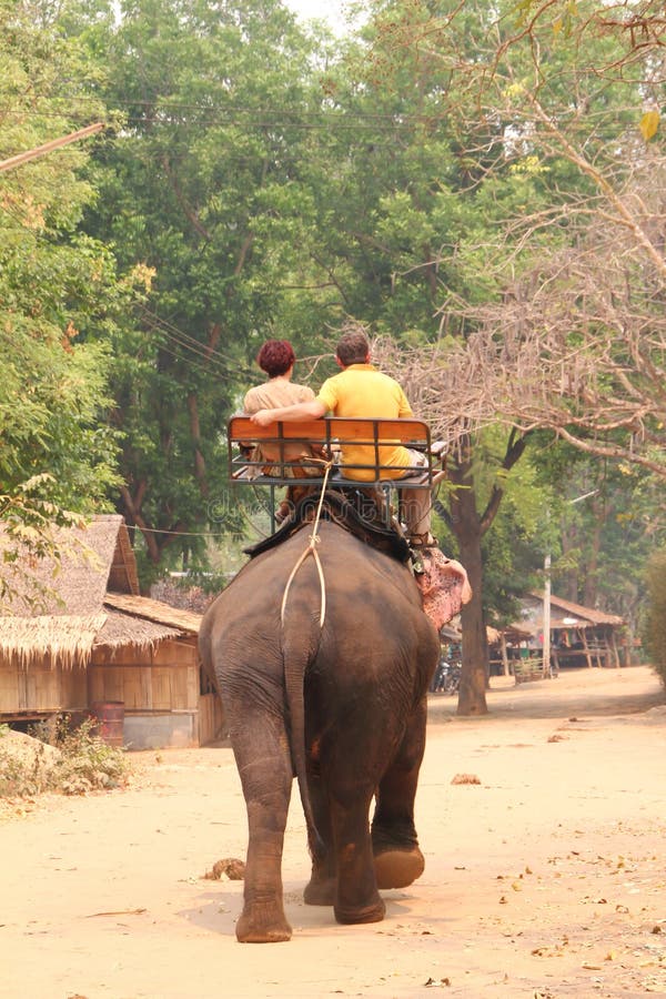 Riding an Elephant in Thailand View from the Back Editorial Image ...