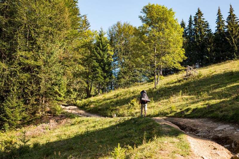 Back View of an Adventurous Hiker Hiking on a Hill Surrounded by Greens ...
