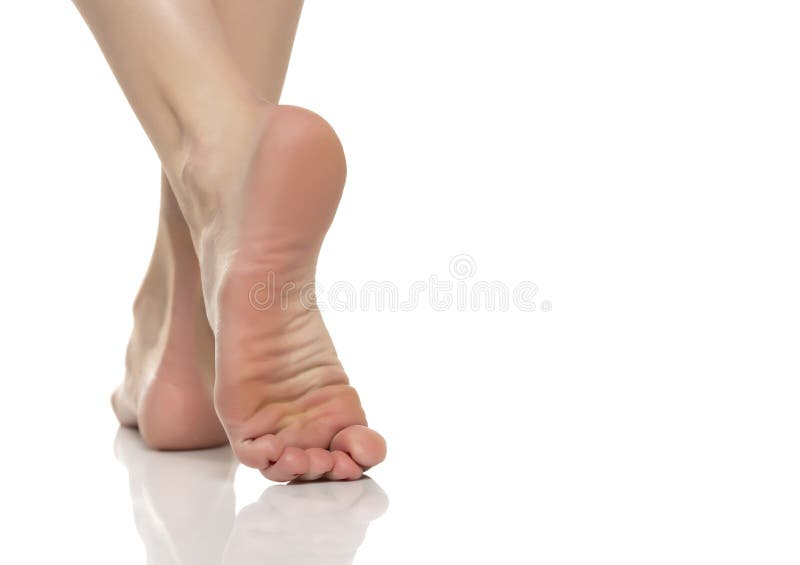 Back View of a Beautifully Cared Female Bare Feet on a White Background ...