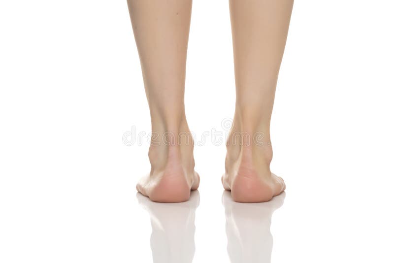 Back View of a Beautifully Cared Female Feet on a White Background ...