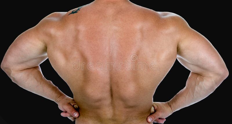 Back View Of A Body Builder Stock Photo - Image of life, adult: 6134146