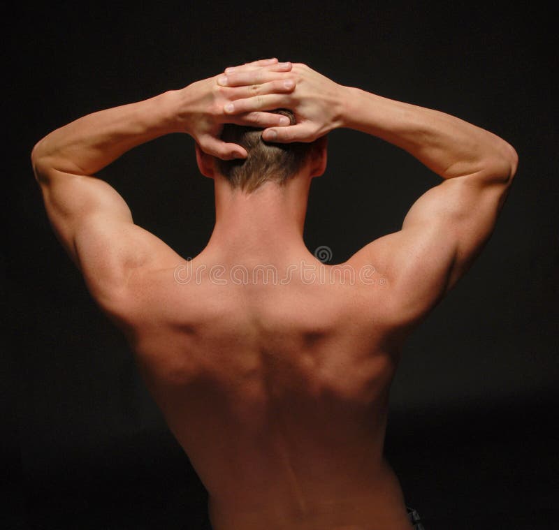 Back view of a Bodybuilder stock photo. Image of muscle - 8729914