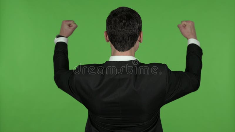 Back View of Businessman Cheering Success, Chroma Key Stock Photo ...