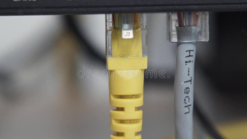Back View of Router with Connected LAN Cables Stock Video - Video of ...
