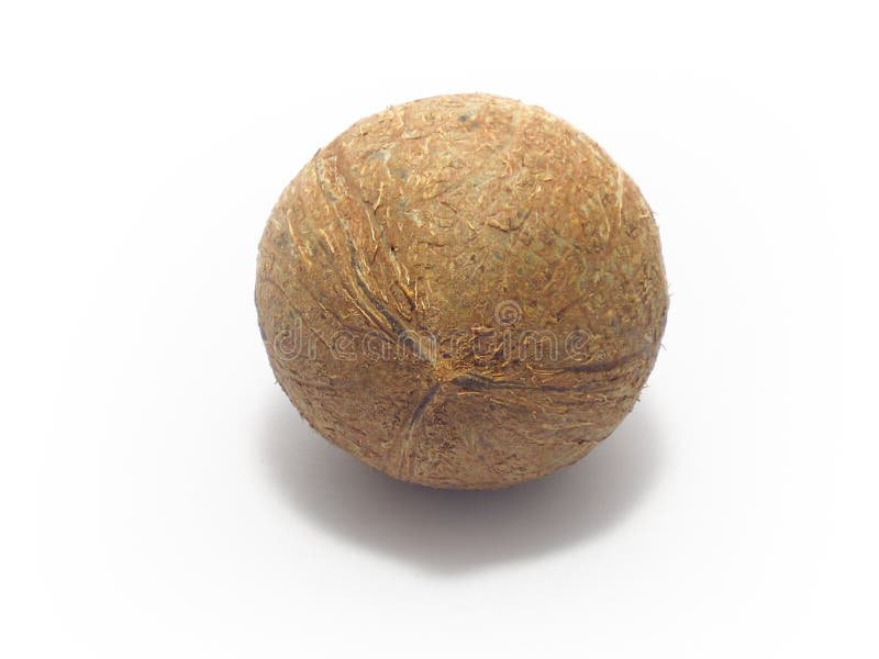 Back View of Coconut Shell Isolated Details Stock Photo - Image of ...