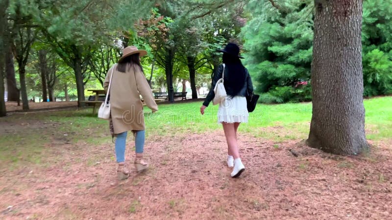 Back View of Couple of Two Girls Walking in the Park Stock Video ...