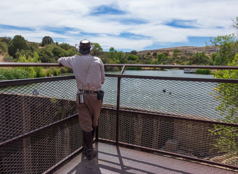 Back View of Cowboy Looking To River Surrounded by Trees Editorial ...