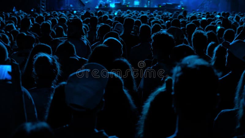Back View of a Crowd of People at an Outdoor Concert Stock Video ...