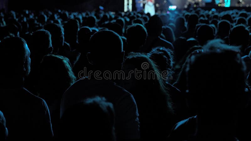 Back View of a Crowd of People at an Outdoor Concert Stock Video ...