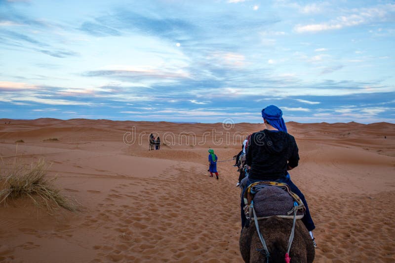 Few Deserters Stock Photos - Free & Royalty-Free Stock Photos from ...