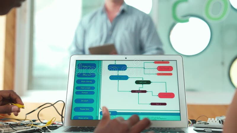 Back View of Diverse Student Coding System while Learning Program. Edification Stock Footage ...